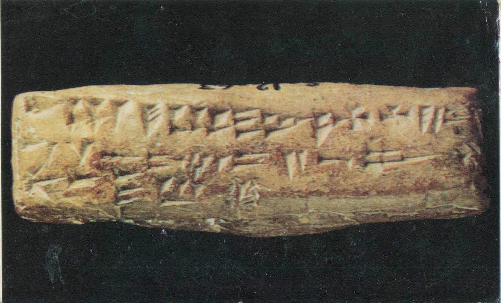 ‘Echoes From Ugarit’ | Beloved Syria